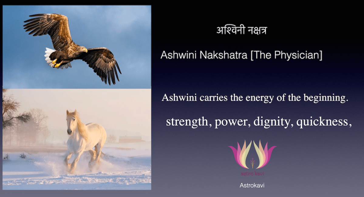 Ashwini Nakshatra [The Physician] – Astro Kavi