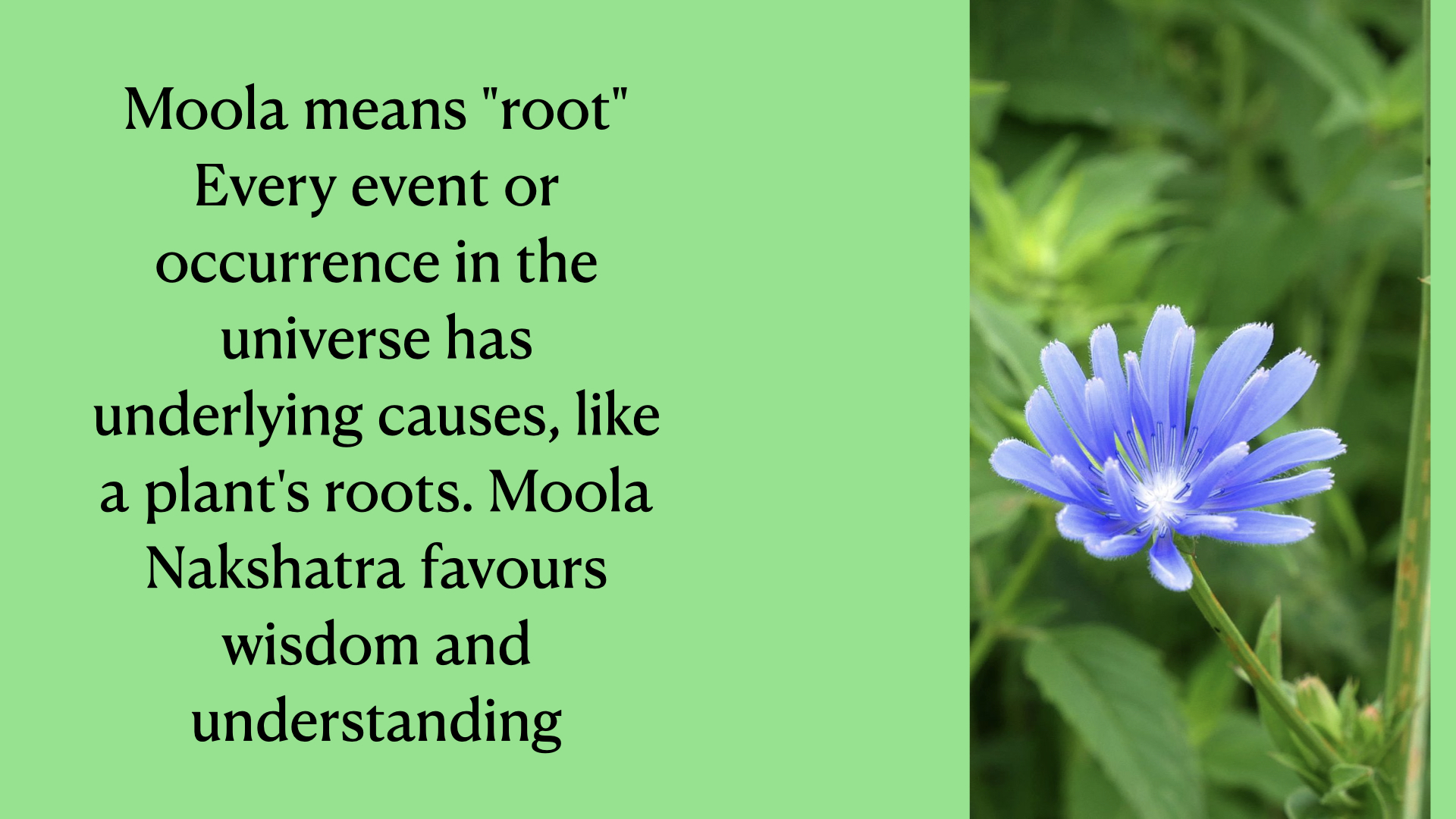 mool nakshatra(the end of something and precursor to something new ...