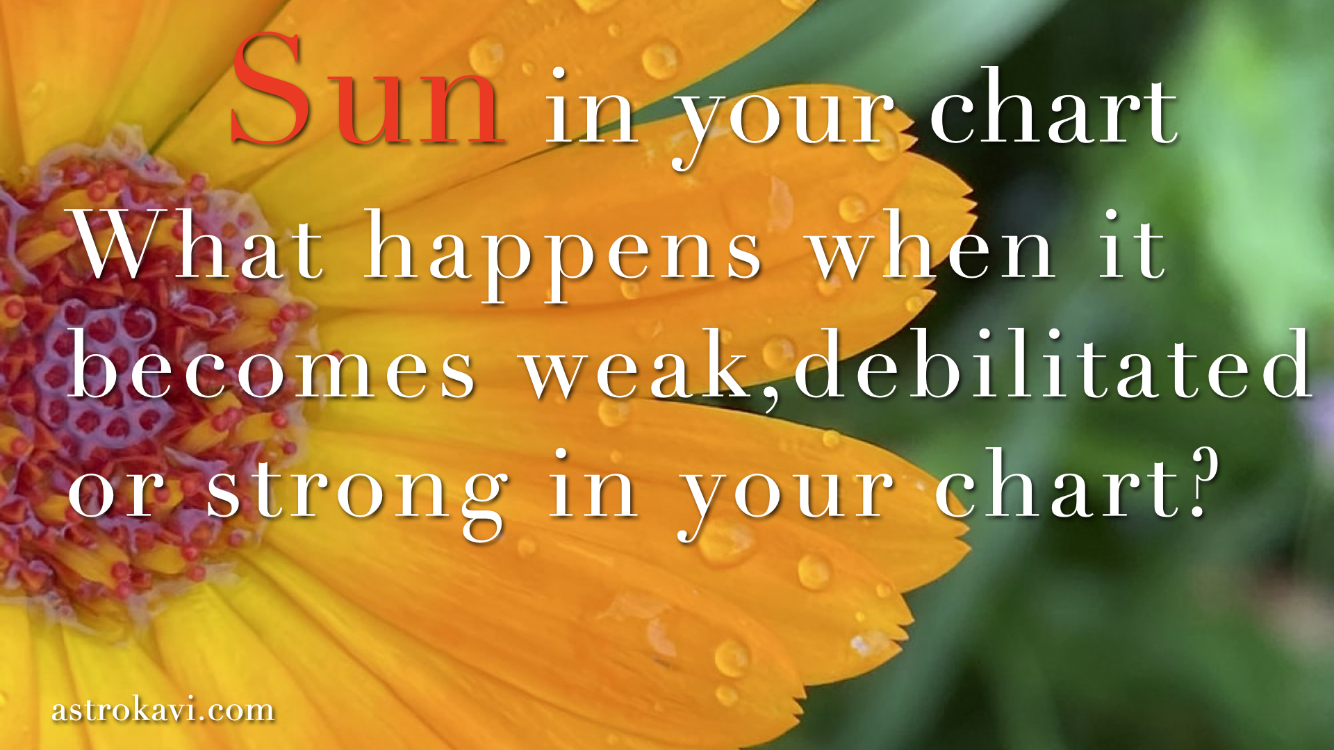 The Sun on your horoscope (what happens when Sun is strong, weak, or ...